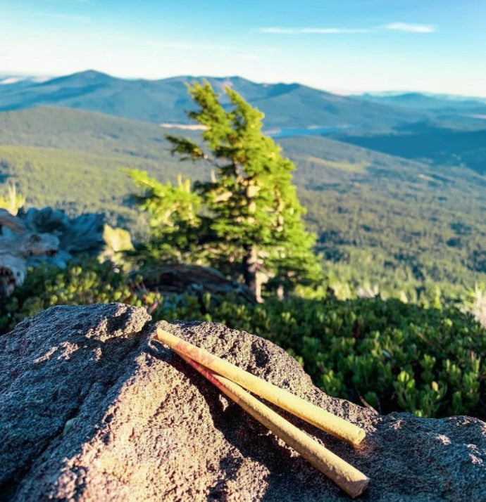 King Size Indoor 300mg THCP Super Joints – Pacific Pure Botanicals